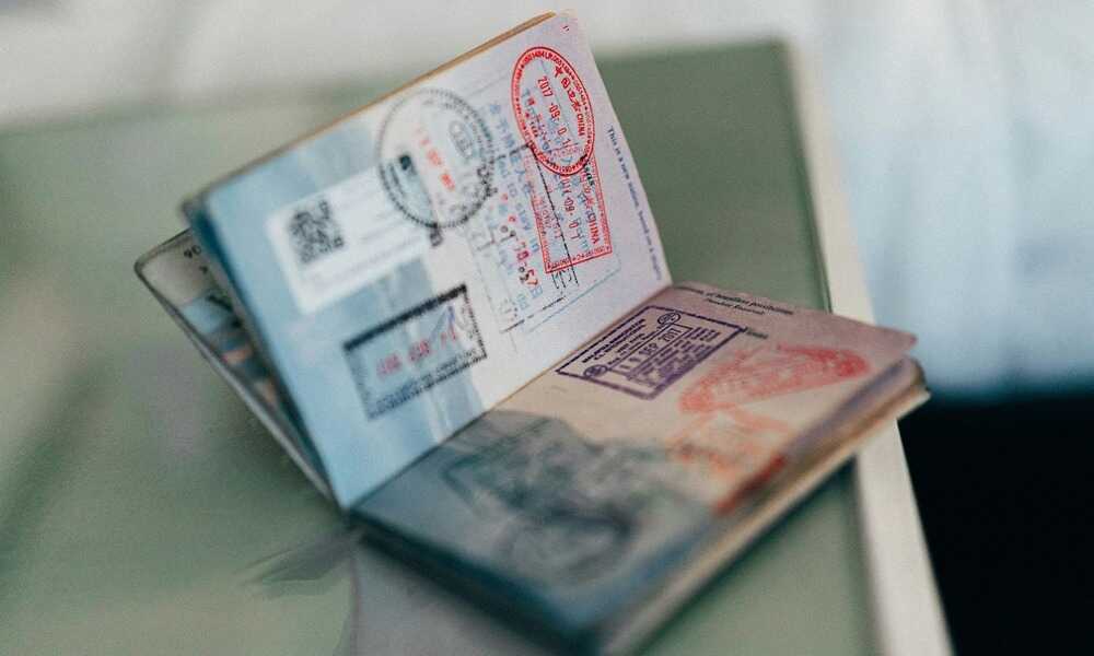 A Stuck Application: South African Visa Escalation Guide
