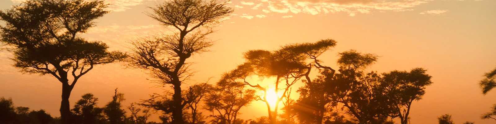 Senegal Visas: Applications & Requirements: IBN Immigration